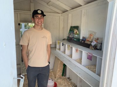 Hank’s Homestead - Backyard Poultry